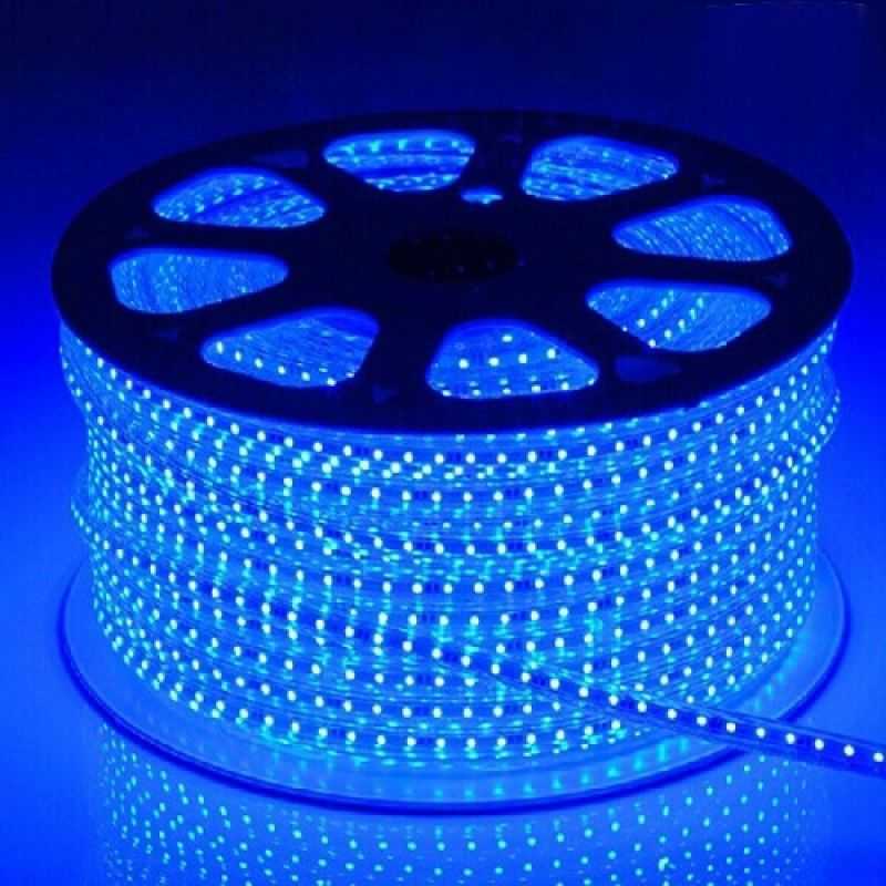 Tira LED sin alambra 120D/M azul